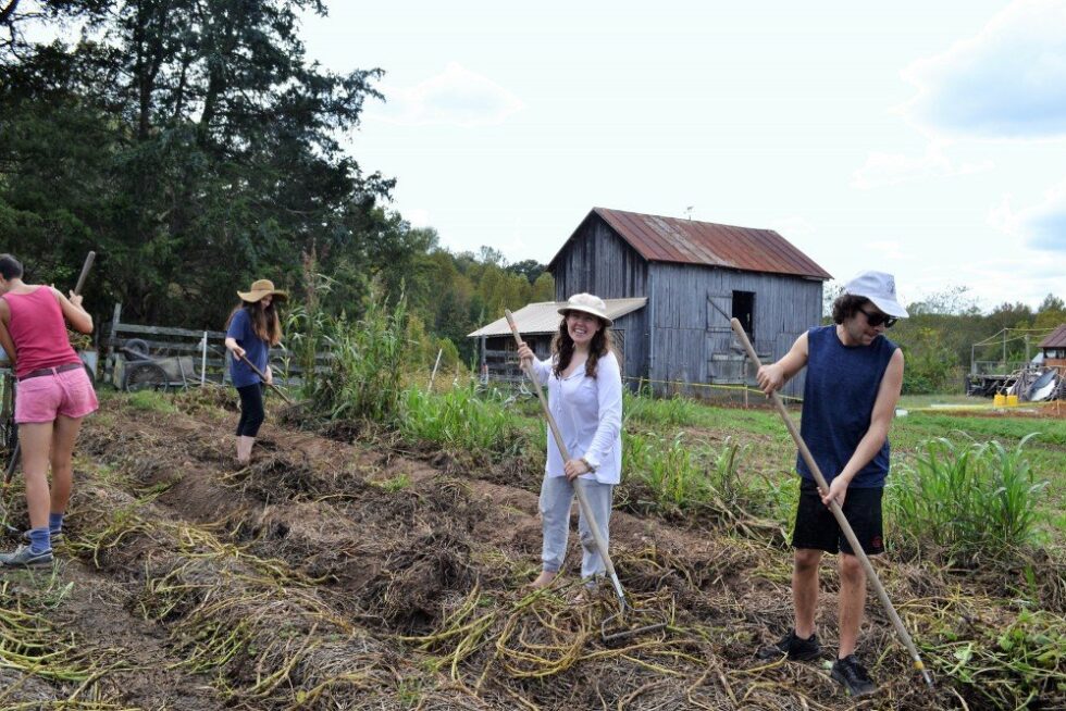 What's a Commune, Really?