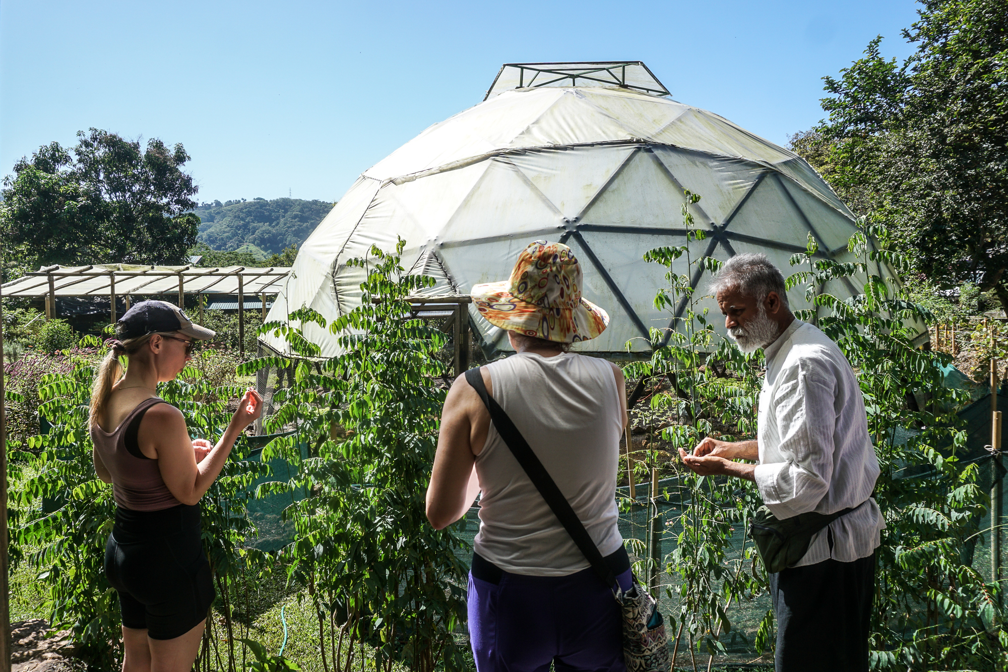 Intentional Communities: The Beginners Guide
